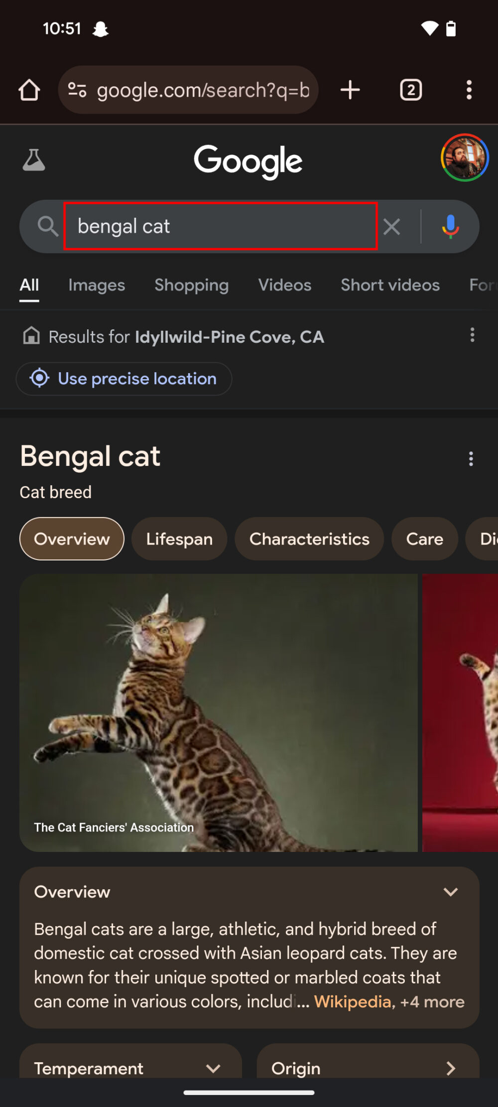 Google 3D Animals: How to put a tiger and more in your bedroom