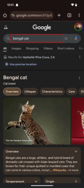 Google 3D Animals: How to put a tiger and more in your bedroom
