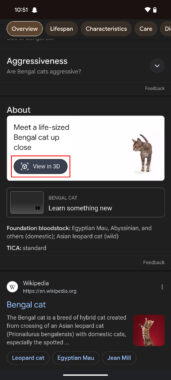 Google 3D Animals: How to put a tiger and more in your bedroom