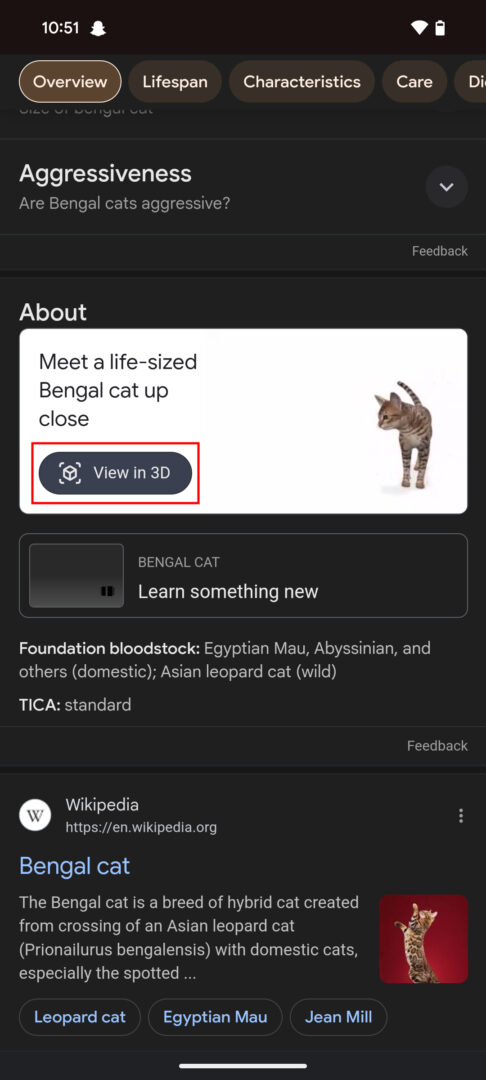 Google 3D Animals: How to put a tiger and more in your bedroom