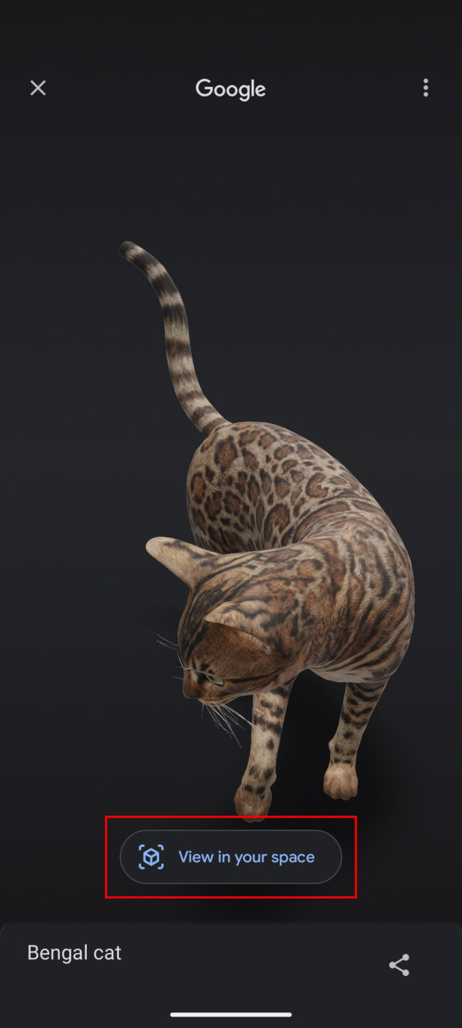 Google 3D Animals: How to put a tiger and more in your bedroom