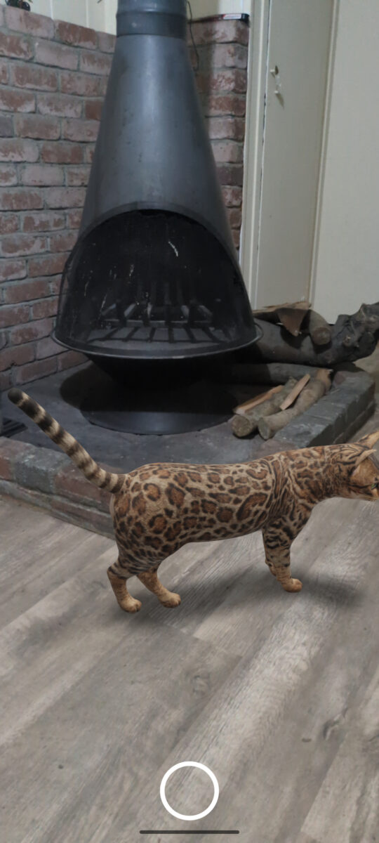 Google 3D Animals: How to put a tiger and more in your bedroom