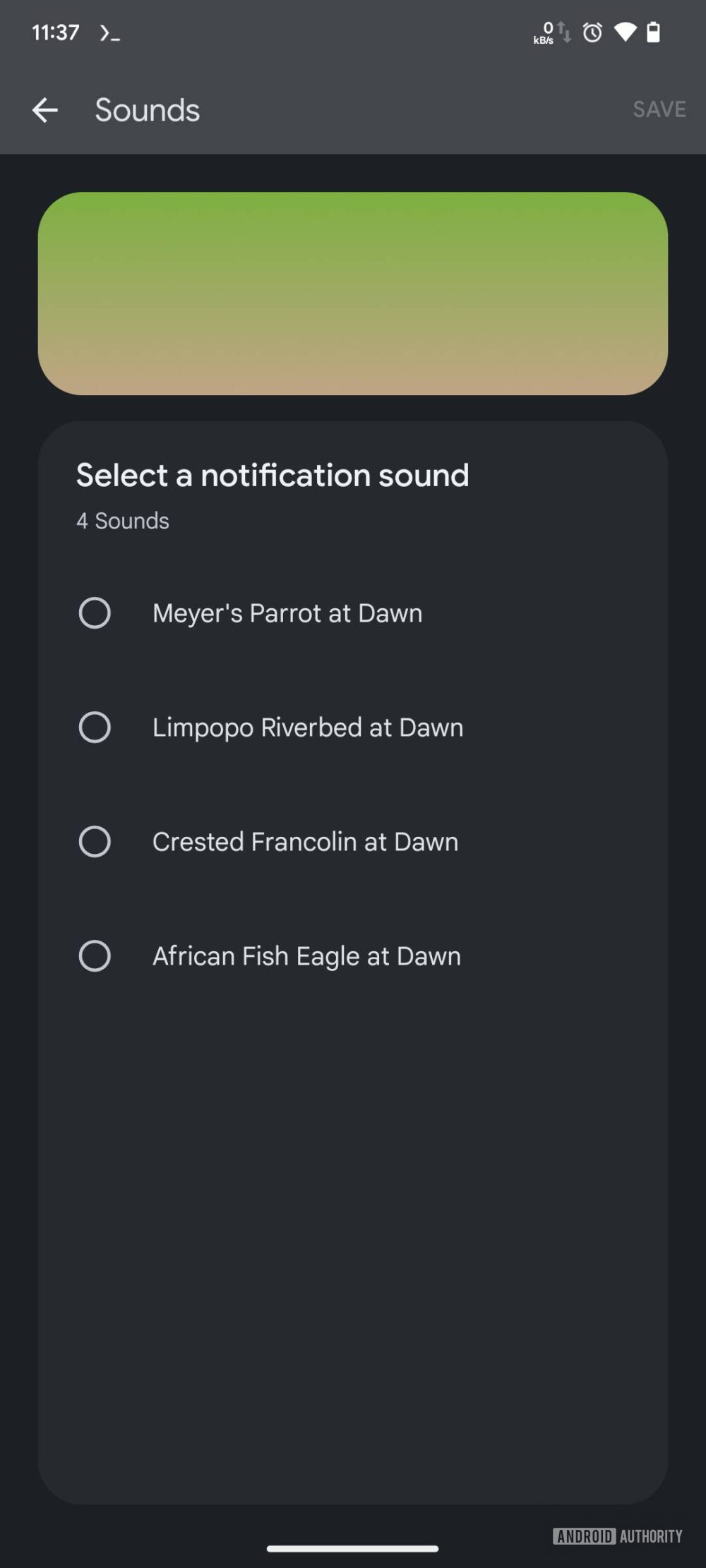 Google rolls out Pixel 9's new ringtone collection to older models