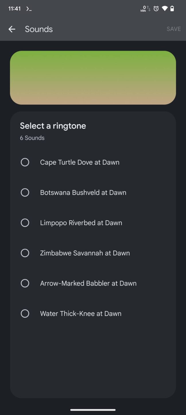 Google rolls out Pixel 9's new ringtone collection to older models