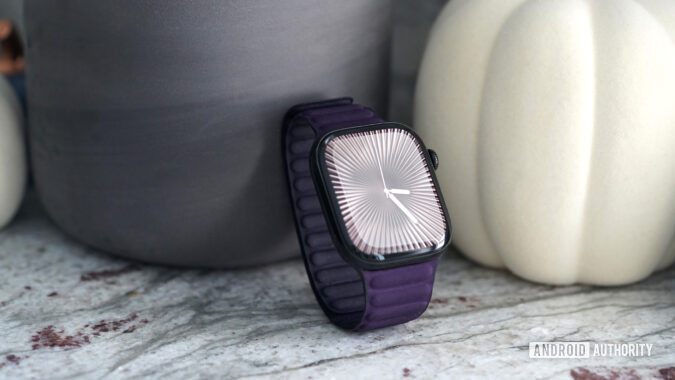 FineWoven Magnetic Link Band review: Worth the splurge