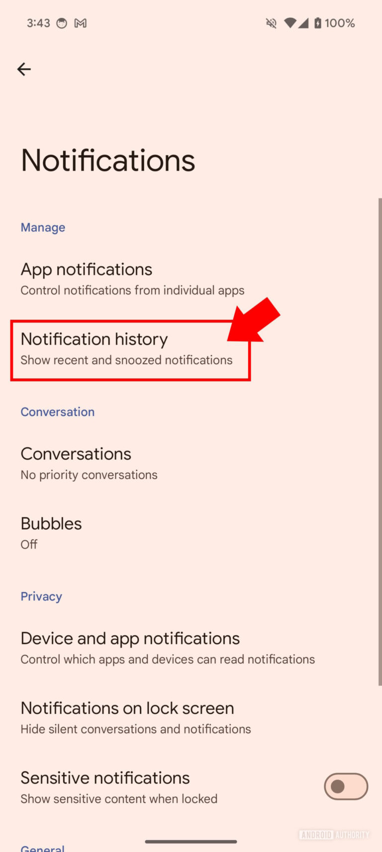 Pixel phones have a cool feature you probably didn't know about ...
