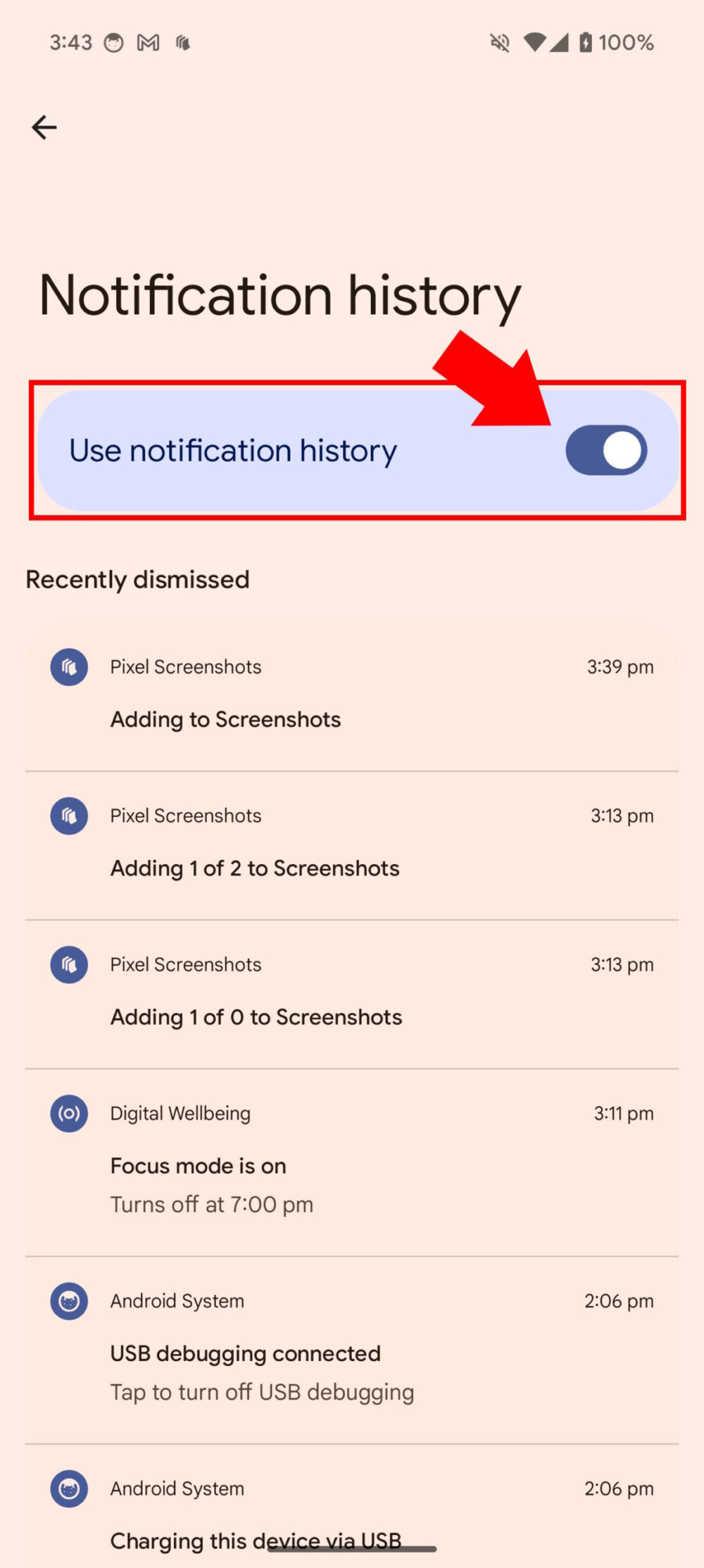 Pixel phones have a cool feature you probably didn't know about ...