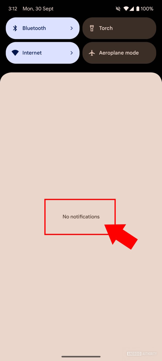Pixel phones have a cool feature you probably didn't know about ...