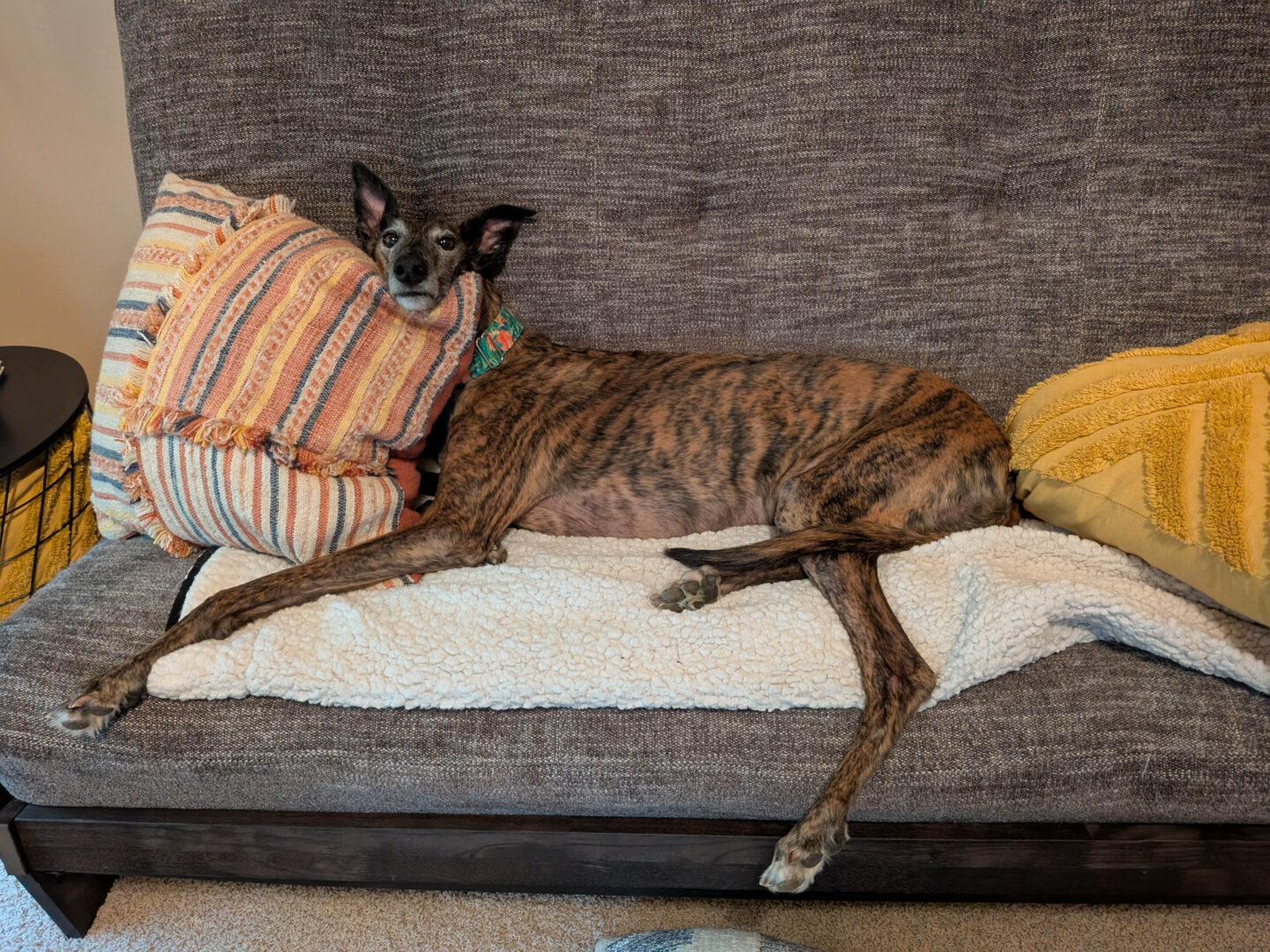 Google Pixel 9 Pro Fold review: Pixel excellence, usual foldable foibles