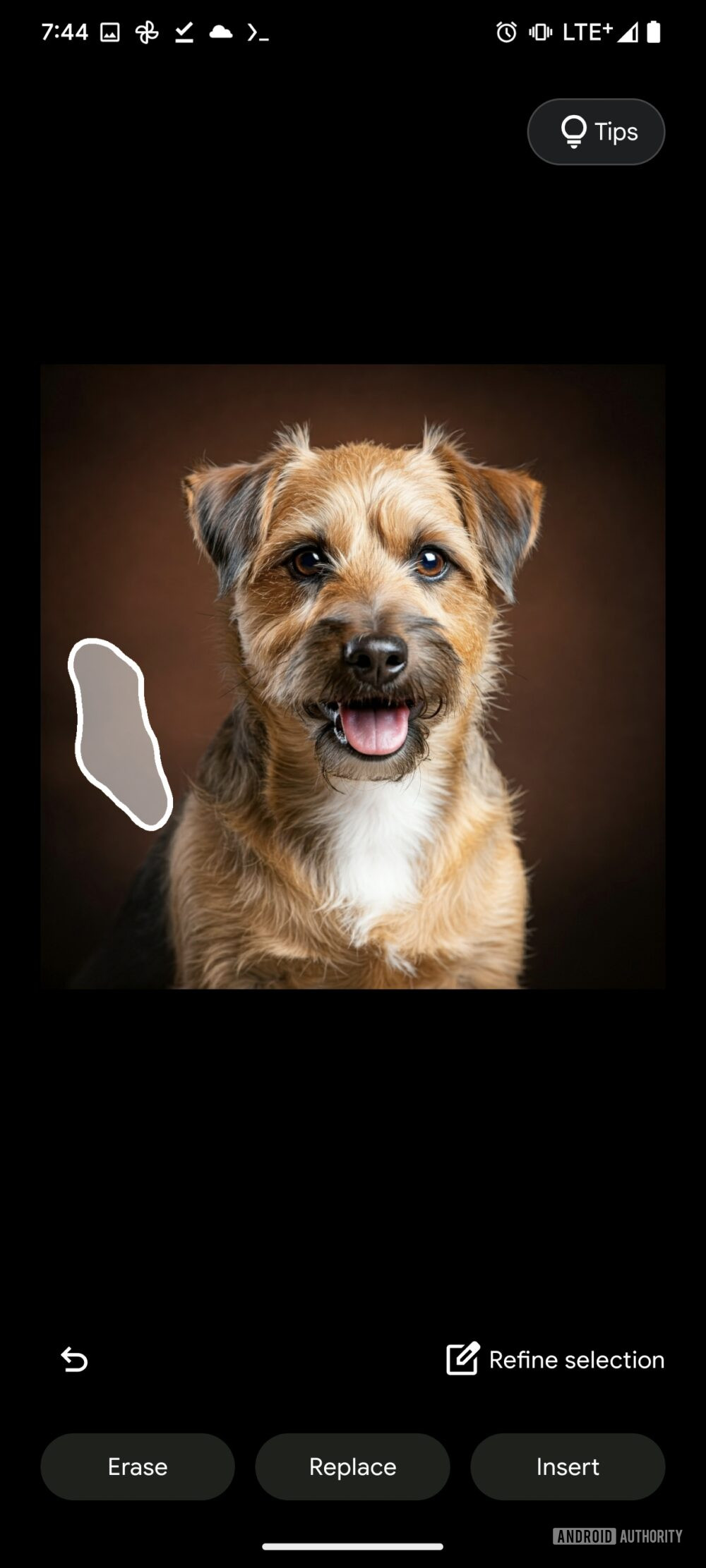 Google Photos Magic Editor could soon make it easier to Reimagine your ...