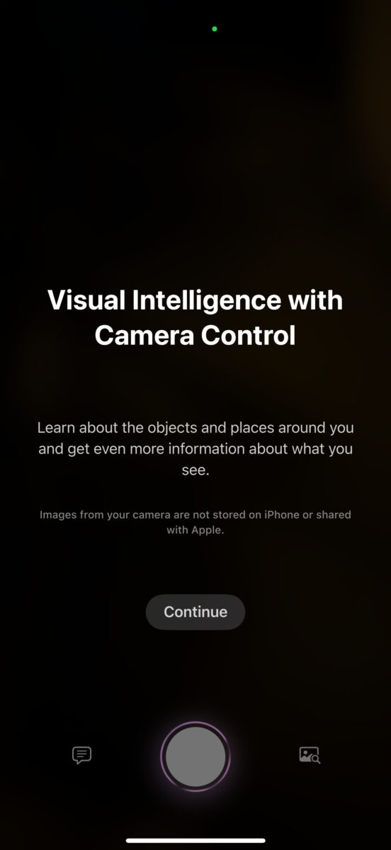 I’ve tried Visual Intelligence on iOS 18.2, here’s how it works ...
