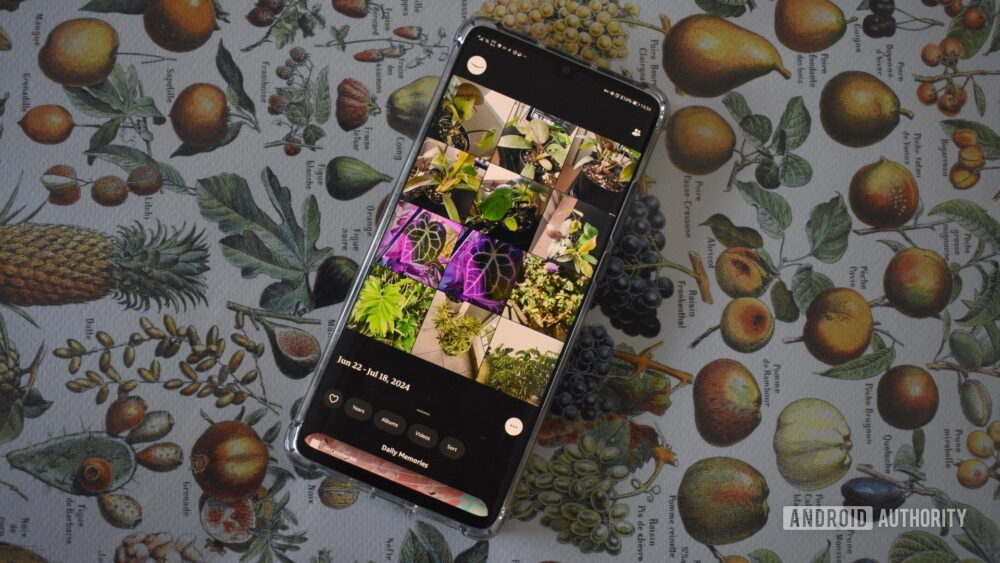 These are the best Google Photos alternatives - Android Authority