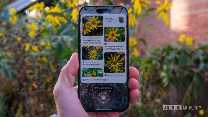 I tested Apple's Google Lens alternative, and it's actually kind of ...
