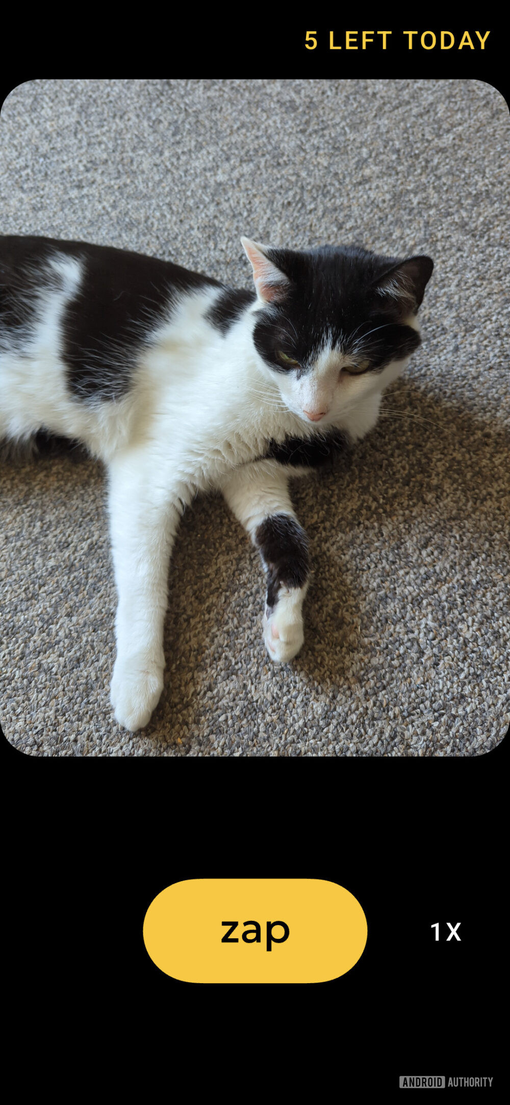 I'm a fan of Google's Pixel Camera app, but like these alternatives too