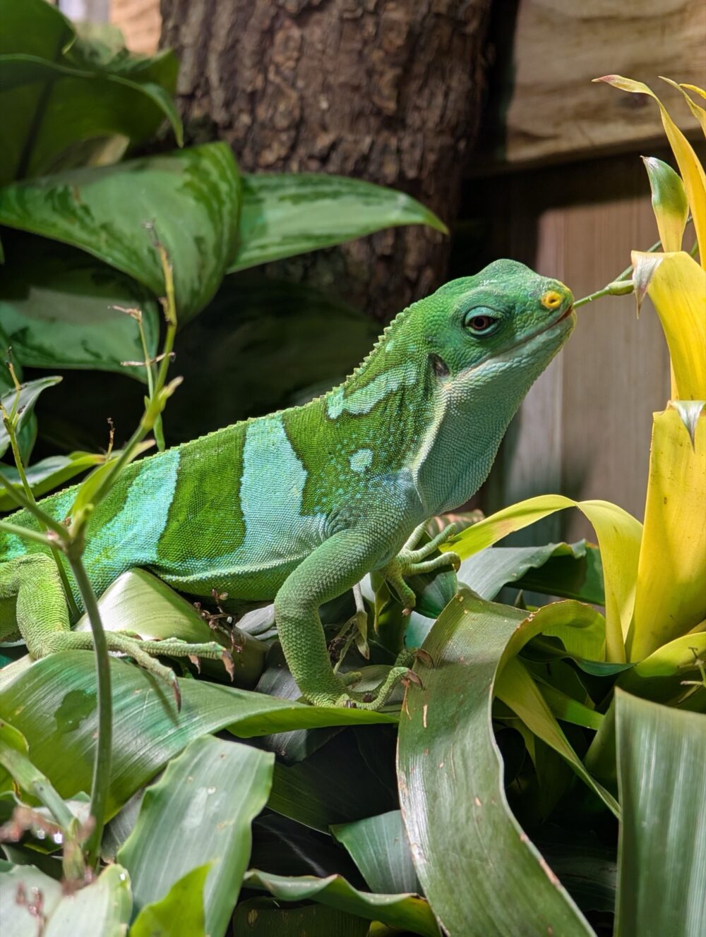 The Pixel 10 proves that everyone wants zoom cams, even if they don't ...