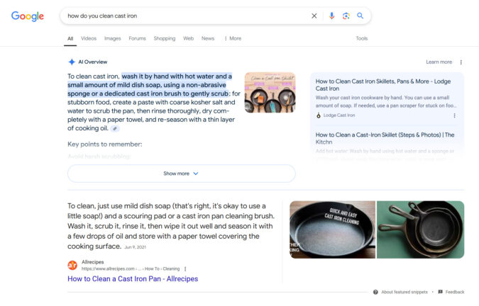 All it takes to disable Google AI Overviews are some curse words ...