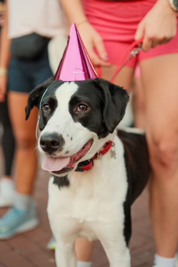 I tried the Galaxy S25's Drawing Assist, and it beats Pixel Studio