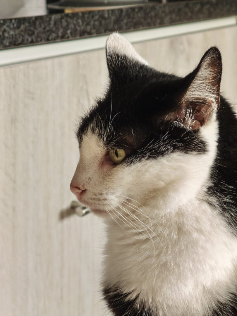 POCO F7 Ultra hands-on review: The flagship killer you've been waiting for?