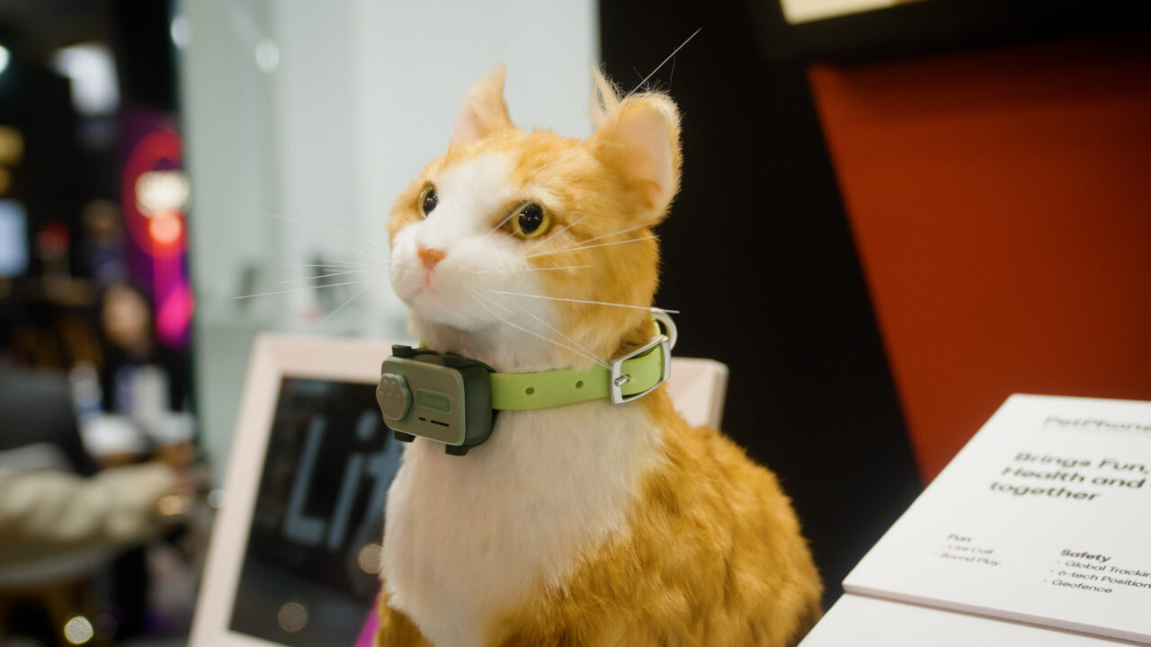The world’s first 'smartphone for pets' launched at MWC 2025 - Android ...
