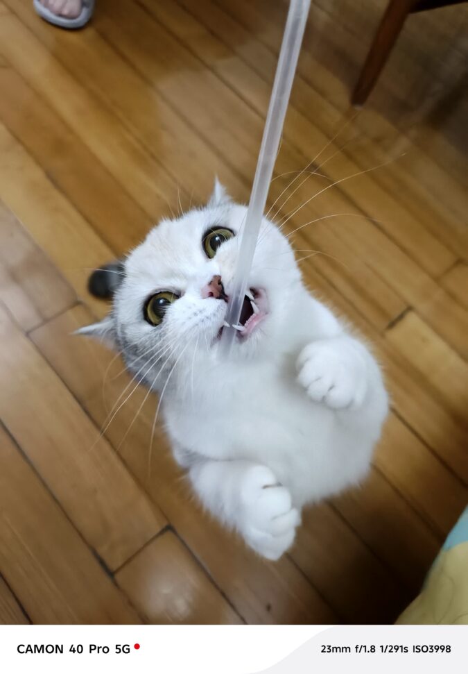 CAMON 40 Pro 5G vs. iPhone 16 Pro & Samsung Galaxy S24 Ultra: Can mid ...