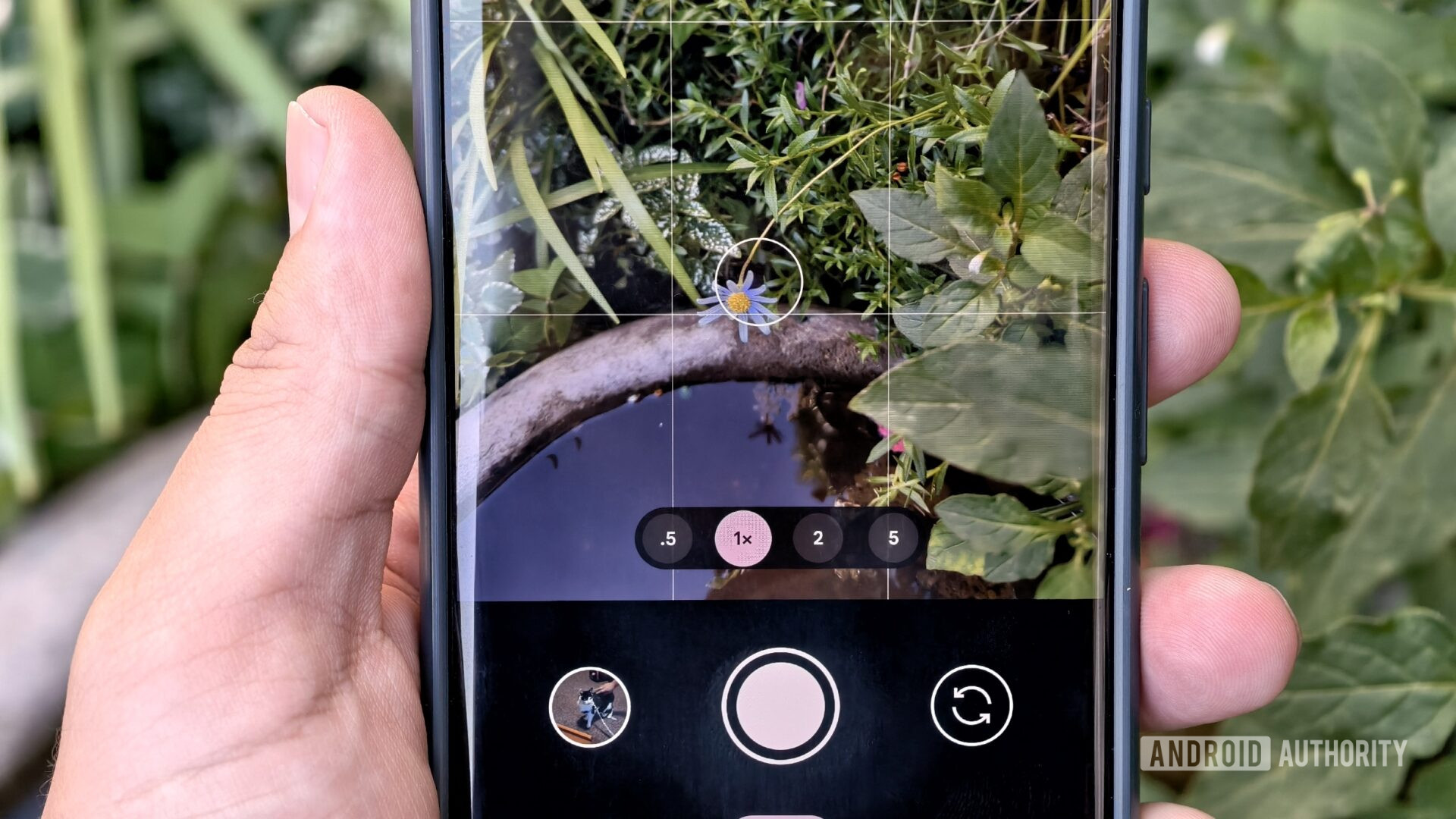 To pinch or not: Survey reveals how people use camera zoom