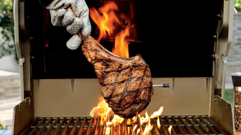 Ninja ProChef Wireless Thermometer deal: Save $20! - Android Authority