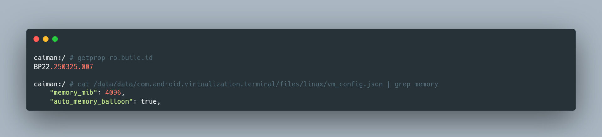 Running out of memory in Android 16's Linux Terminal? Try this fix - Android Authority