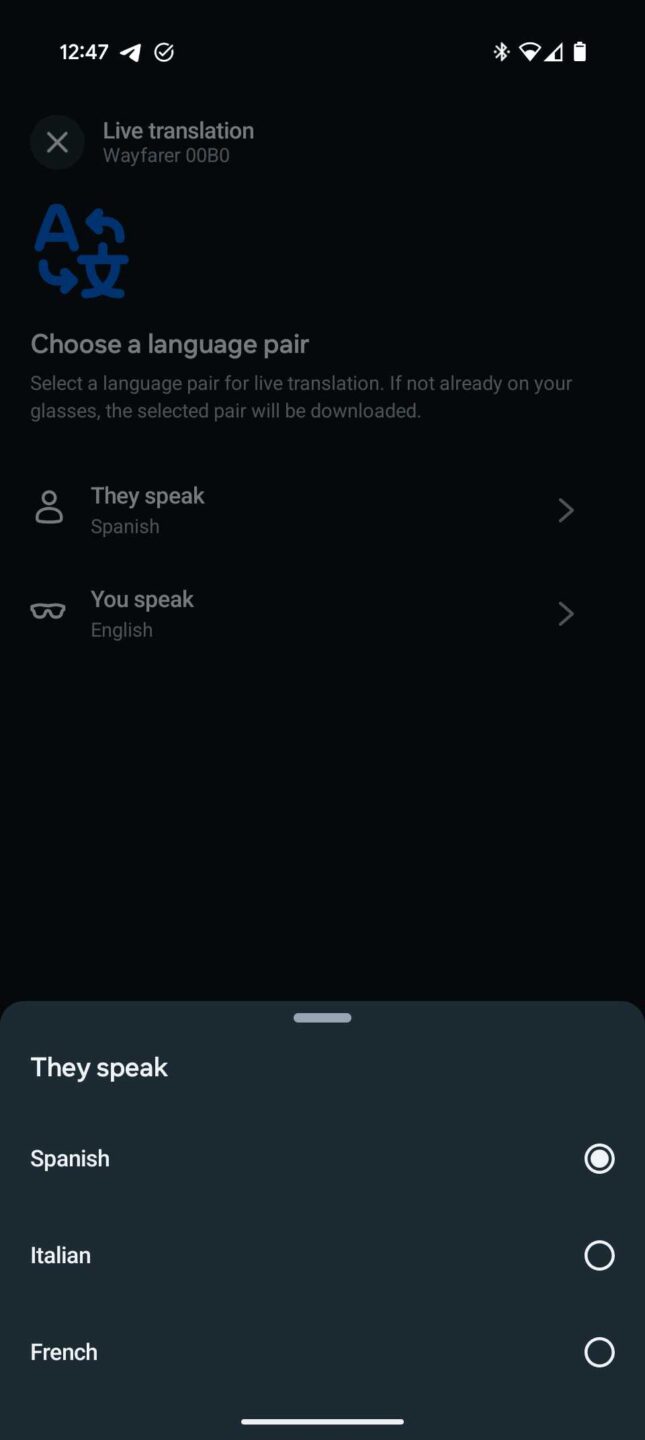 I tried Ray-Ban Meta live translation and Google Translate still wins