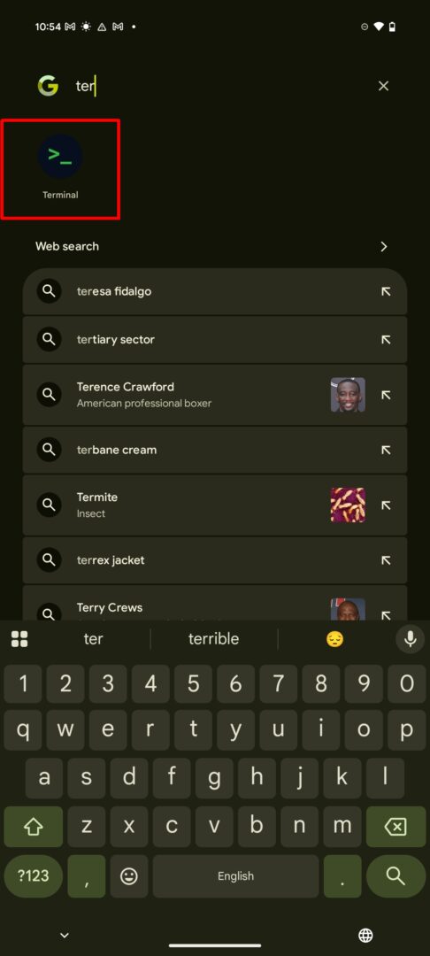 I activated the Linux terminal on my Pixel, and you should too ...