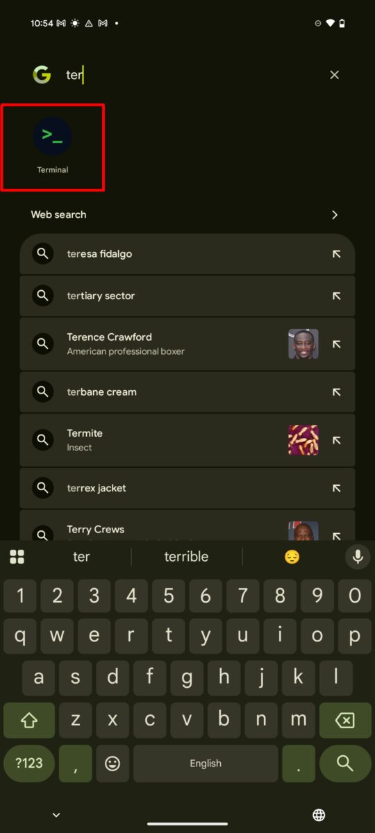 I activated the Linux terminal on my Pixel, and you should too - Android Authority