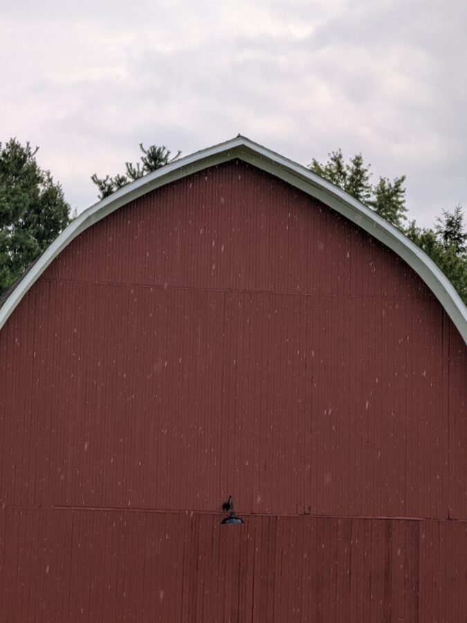 I tested the Pixel 10's new telephoto camera, and the results are ...