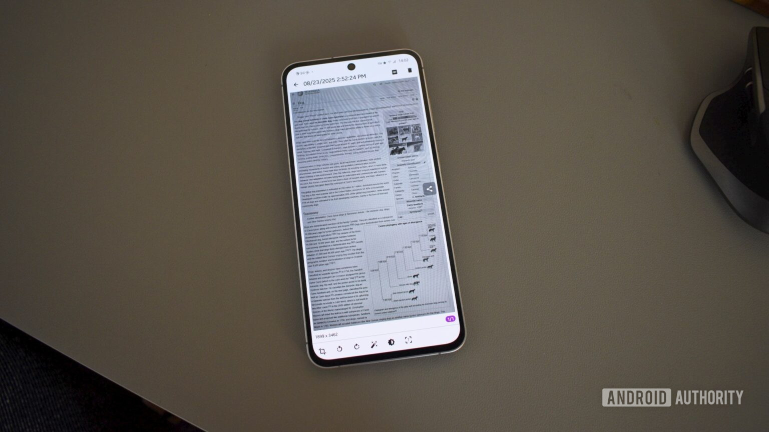 My 18 favorite Android apps of 2025 - Android Authority
