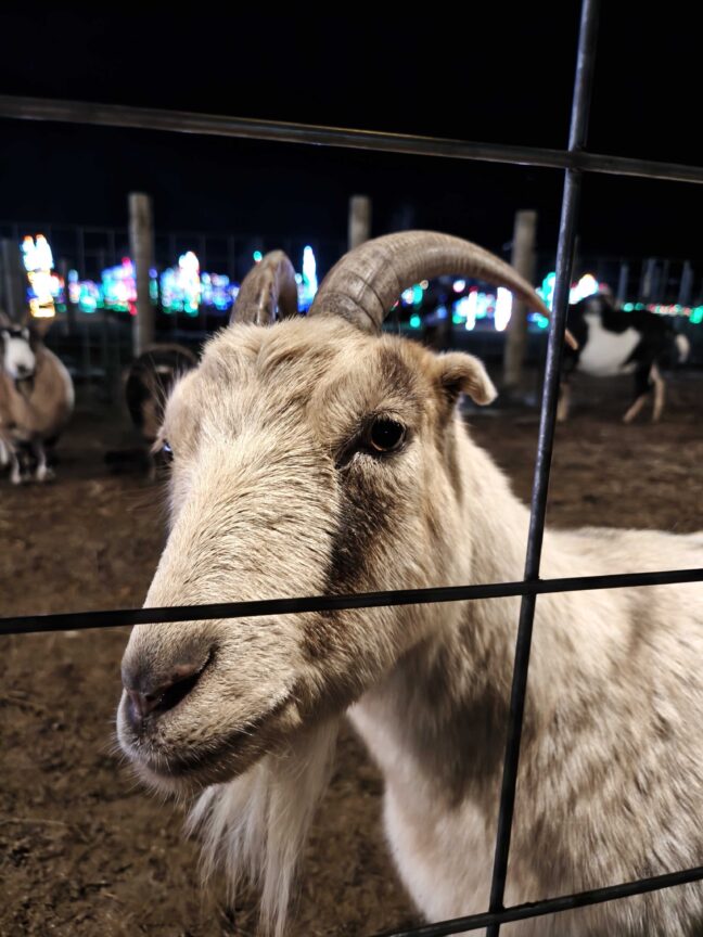 You can finally remove fences in Google Photos, and the results are crazy