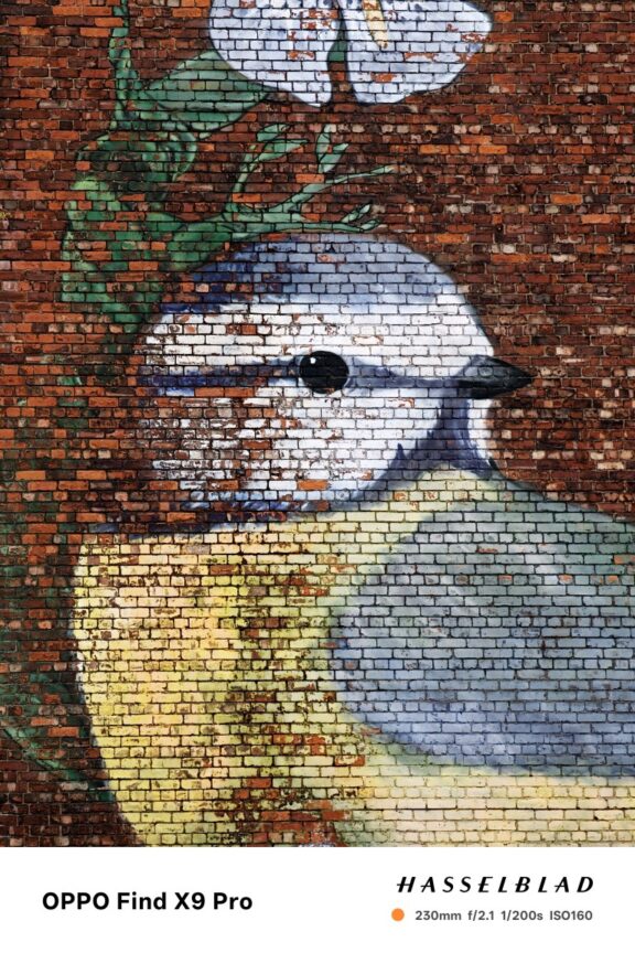 Thanks Hasselblad: These photos might be the best I've ever taken with ...