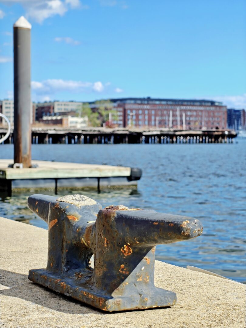 Are the OnePlus 15 cameras any good? Here are the first pictures I took
