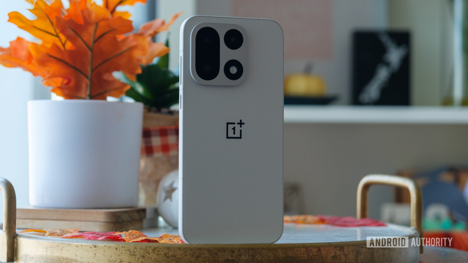OnePlus 16 leak hints at a new 'Pro' or 'Ultra' model