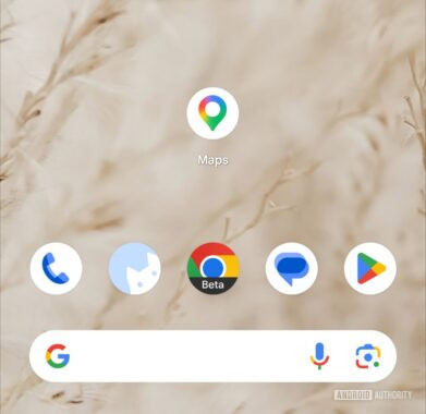 Google Maps' shiny new icon is one step closer to a broader rollout ...