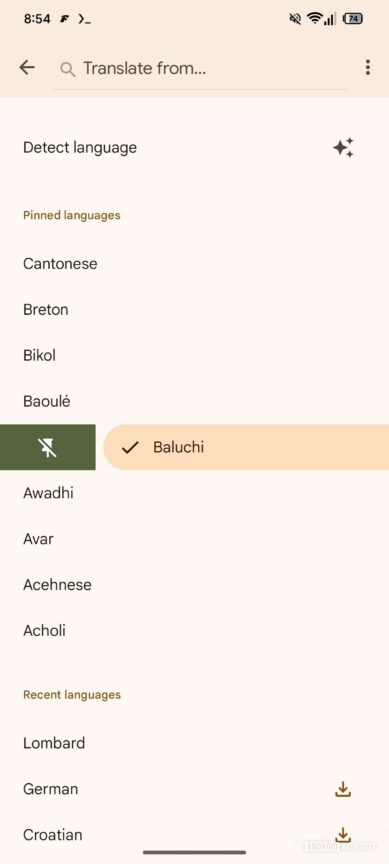 Google Translate is readying a welcome usability feature travelers will ...